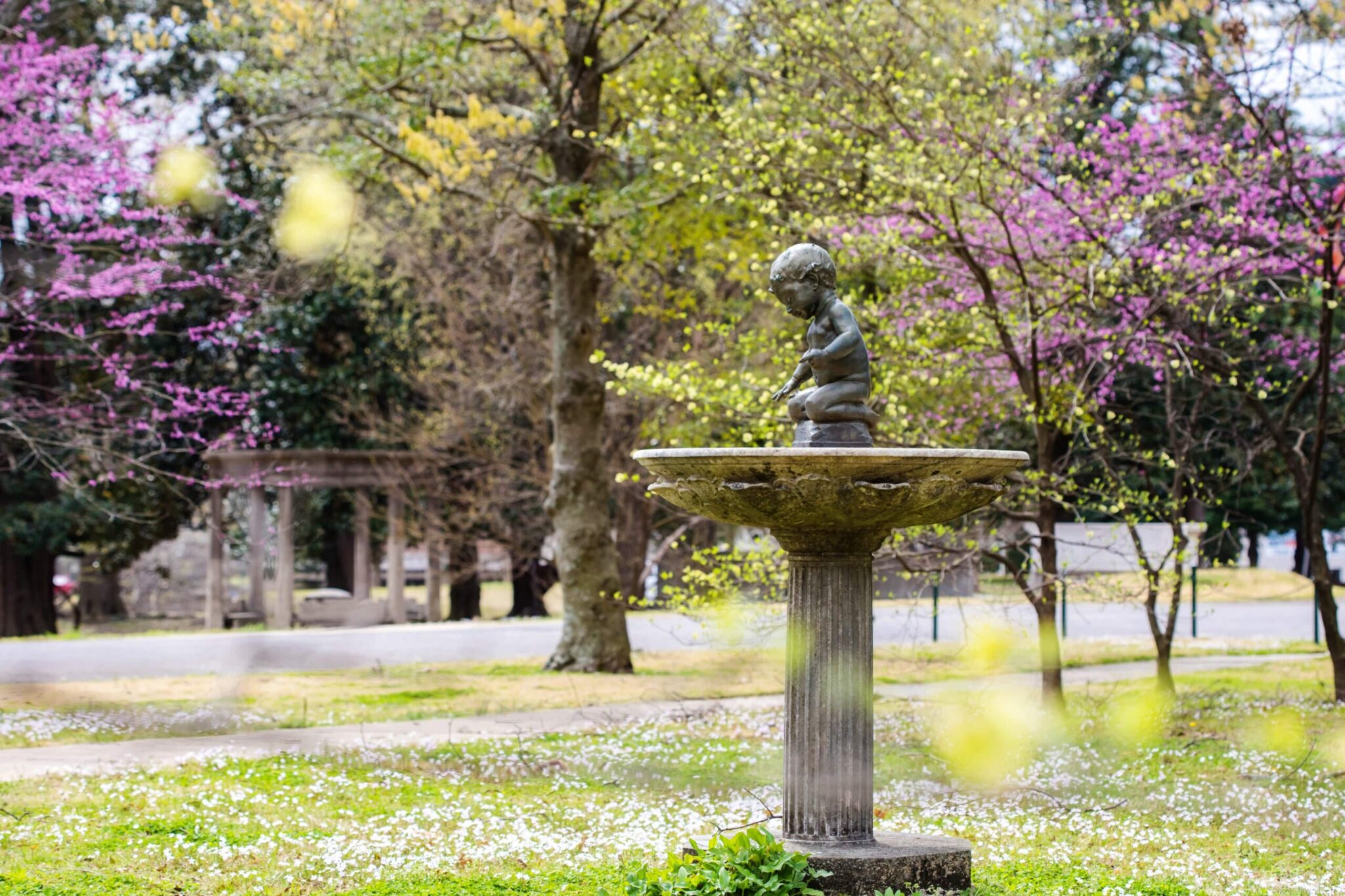 Create | Overton Park Conservancy