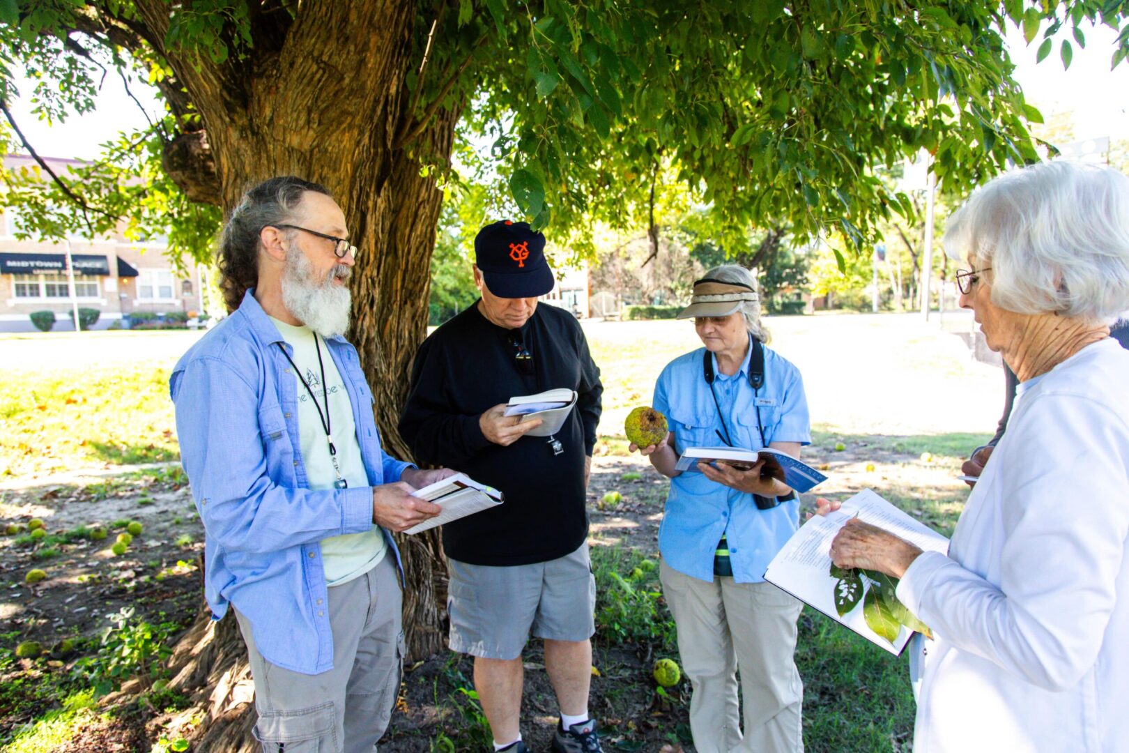 Things to Do | Overton Park Conservancy