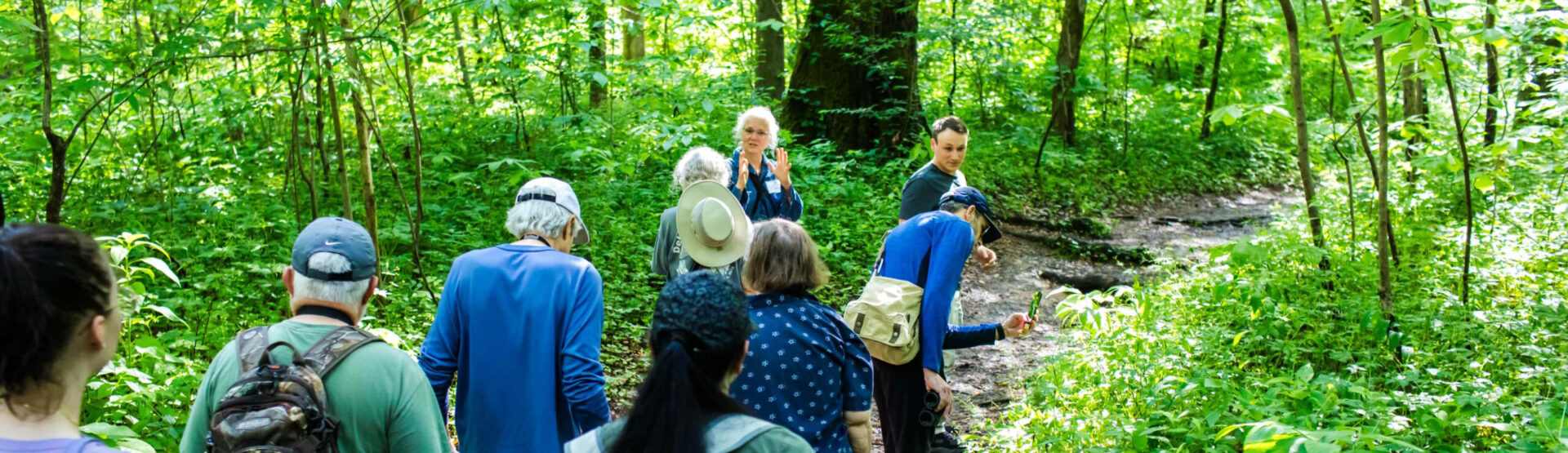 Guided Nature Walks | Overton Park Conservancy