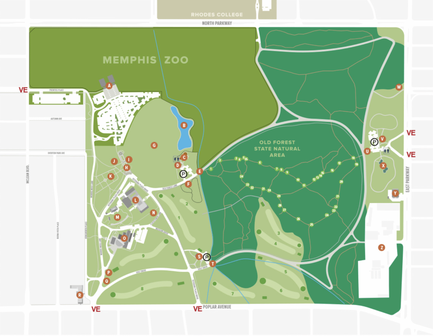 Overton Park Conservancy - In The Heart of Memphis