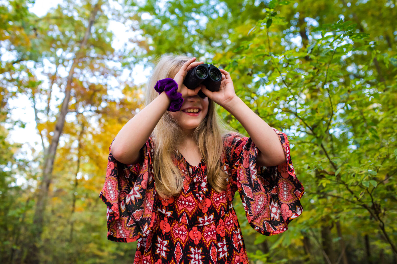 Songbird Strolls | Overton Park Conservancy