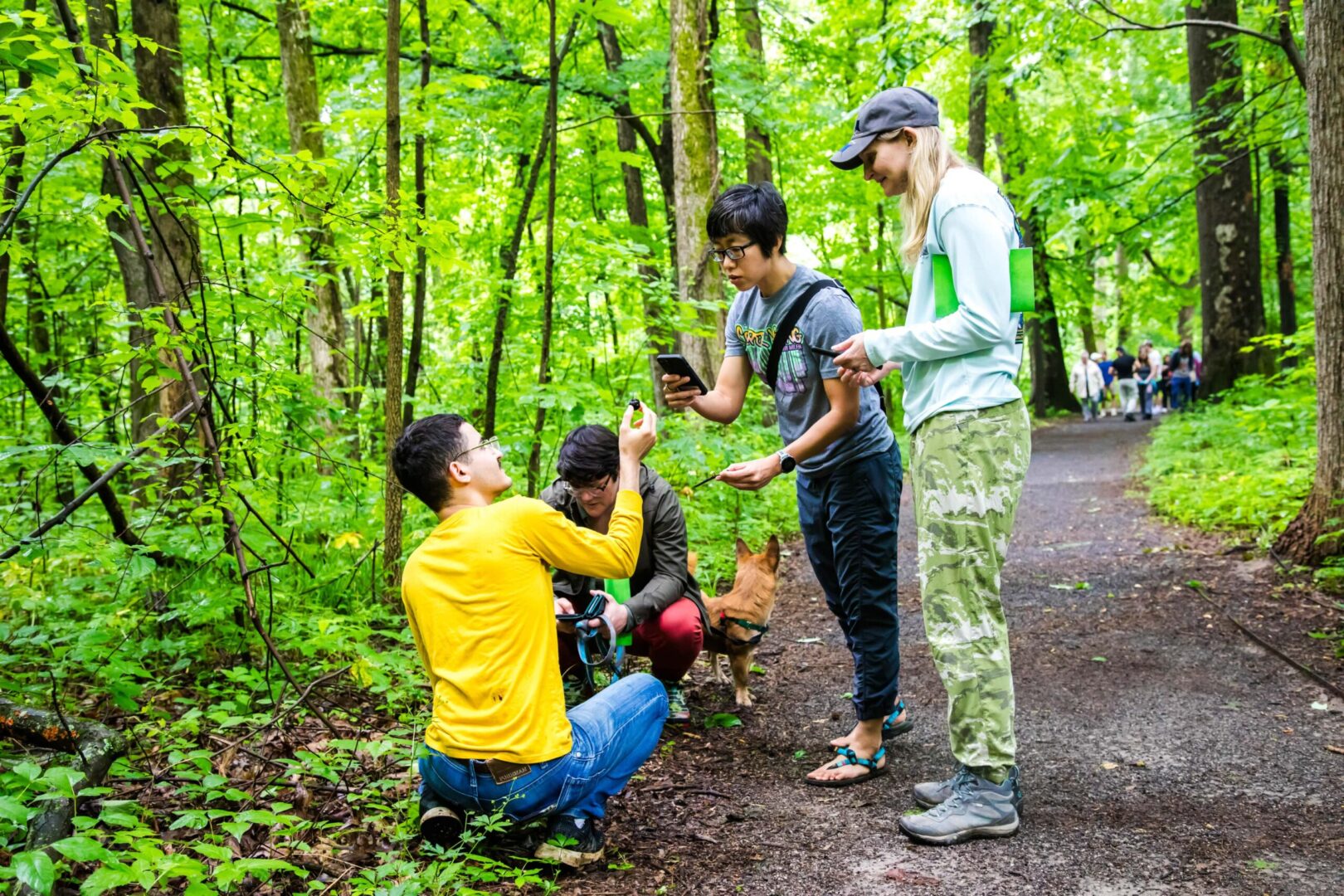 Guided Nature Walks | Overton Park Conservancy
