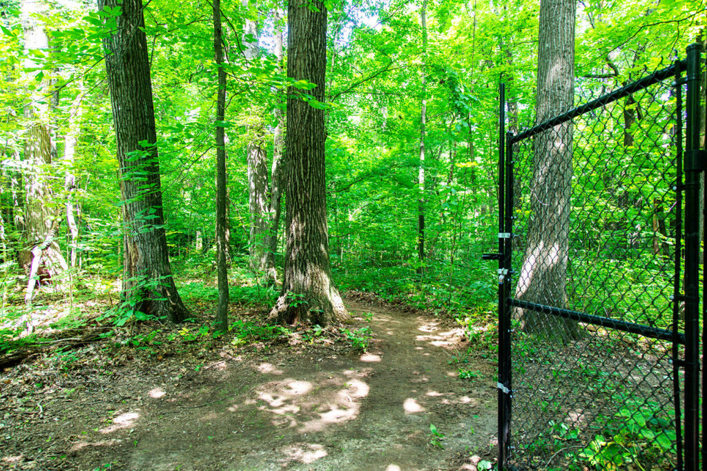 Blazing a new trail in the Old Forest | Overton Park Conservancy