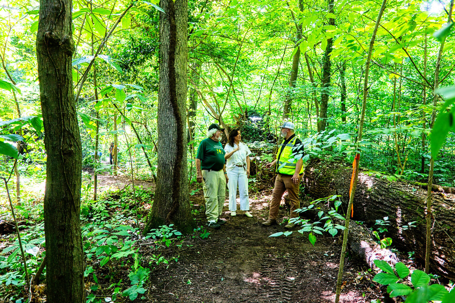 Blazing a new trail in the Old Forest | Overton Park Conservancy